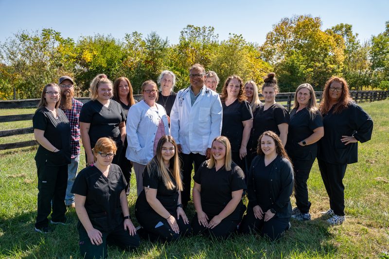 High Quality Vet Hospital In Urbana Oh Urbana Veterinary Clinic